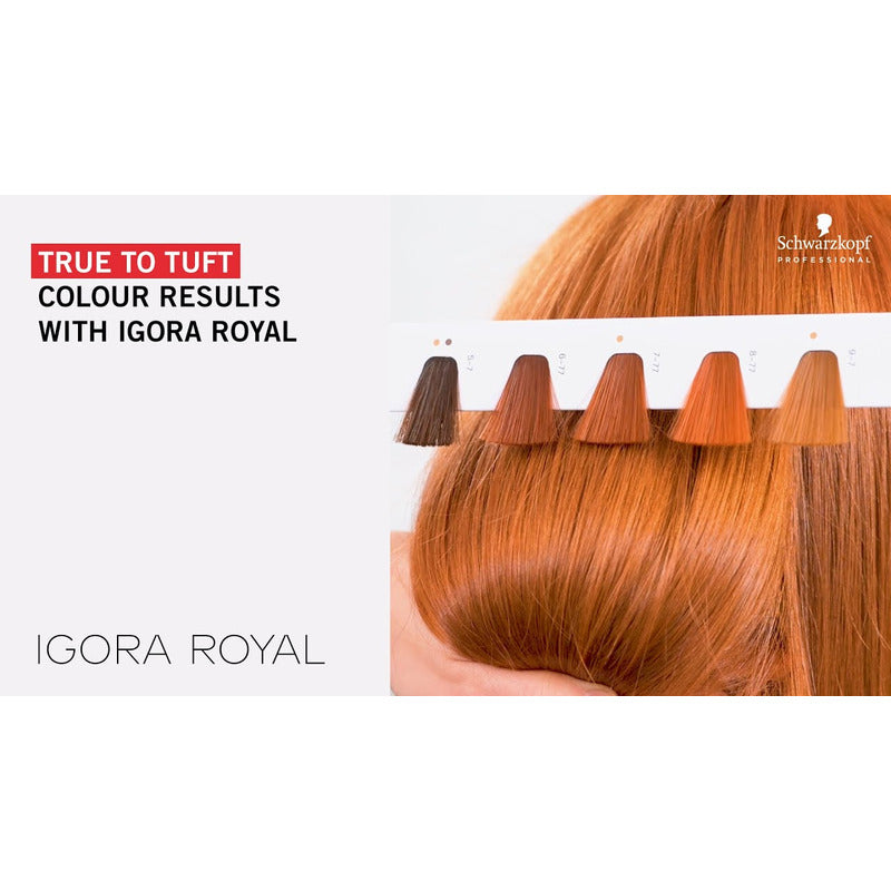 Oxidante Locion Igora Schwarzkopf 10 Volumenes 3% 1000ml – Beauty Supply